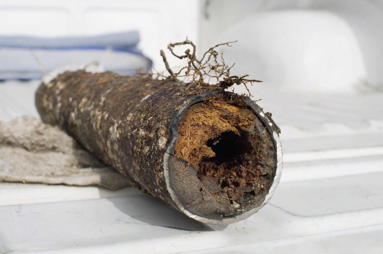 What Is Growing In My HVAC Ac Air Conditioner Condensate Drain Line